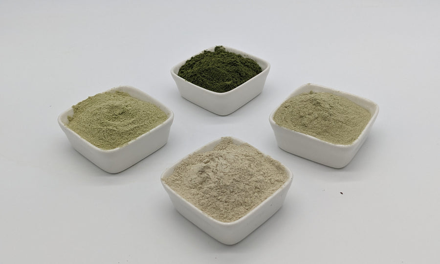 Authentic Wasabi Products | Real Wasabi – Real Wasabi, USA