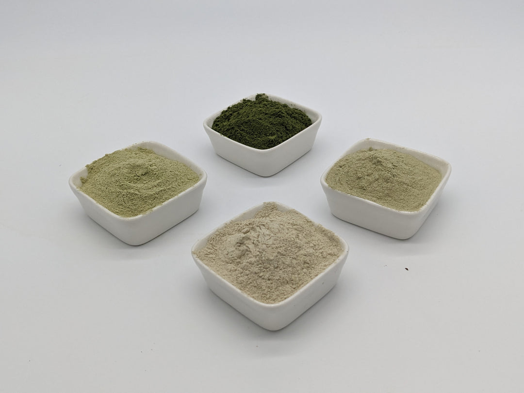 Buy Real Japanese Wasabi Powder | Real Wasabi