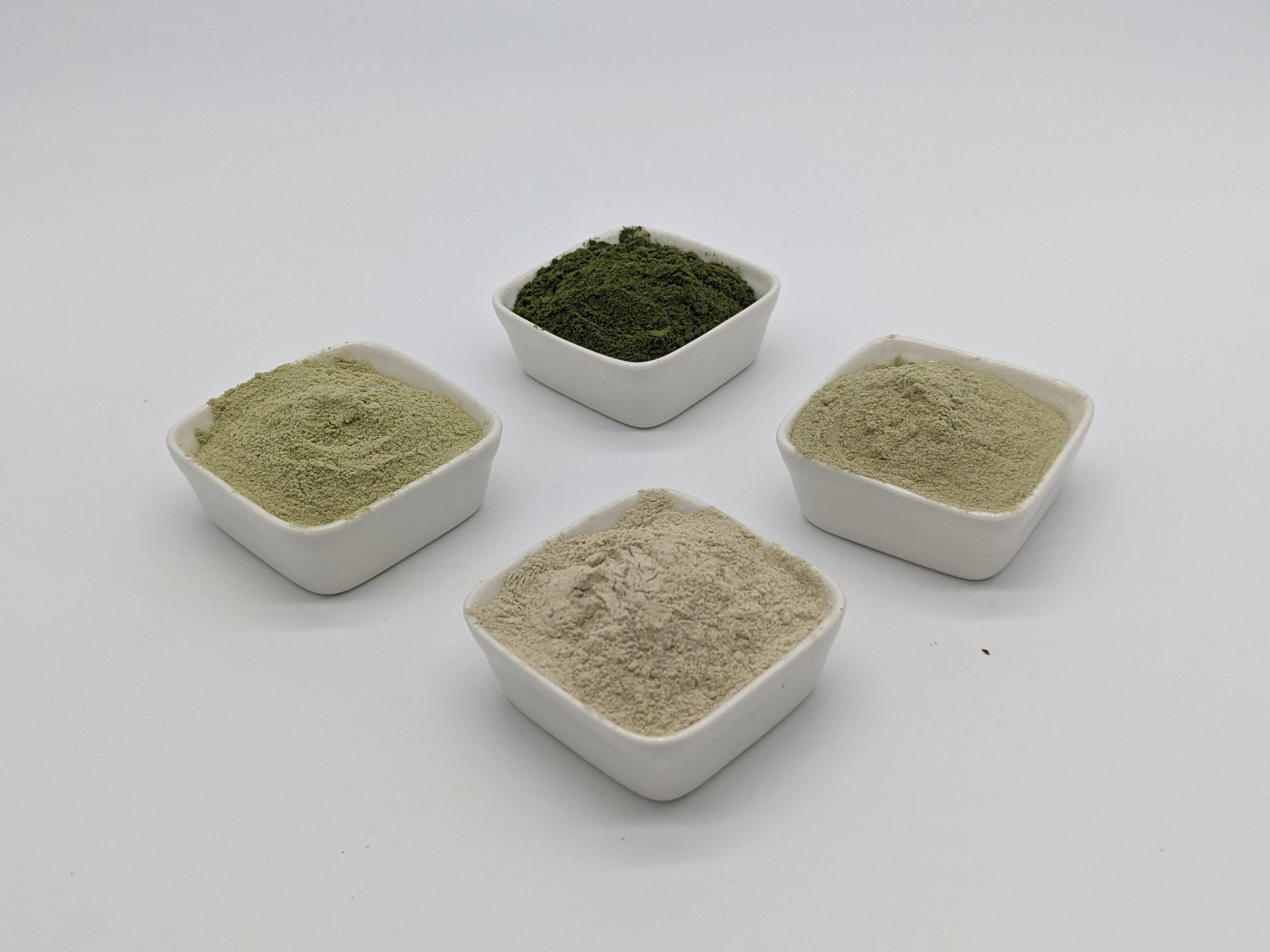 Buy Real Japanese Wasabi Powder | Real Wasabi