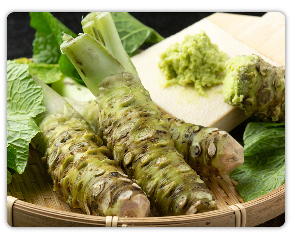 Fresh Wasabi for Sale | Real Wasabi