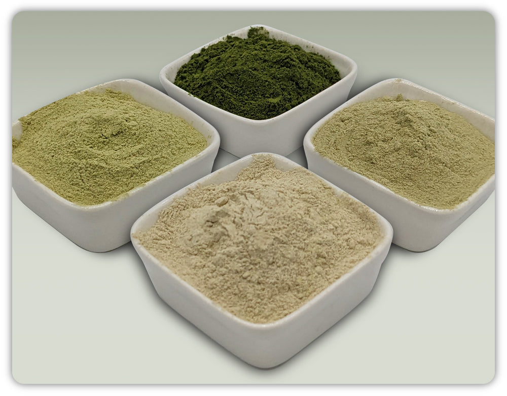 Bulk Wasabi Powders | 100% Pure Real Wasabi | Authentic – Real Wasabi, USA