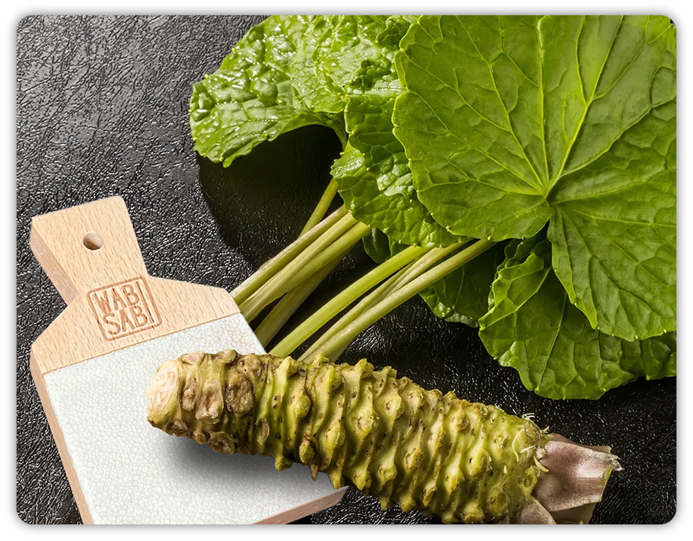 Buy Wasabi Plants Online | Fresh Japanese wasabi plants for sale