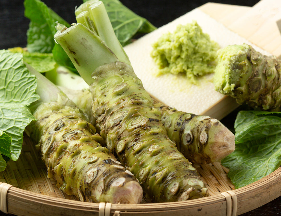 Real Wasabi Plants - Wasabia Japonica Plants | Real Wasabi – Real ...