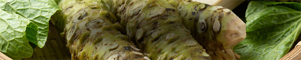 Fresh Wasabi for Sale | Real Wasabi