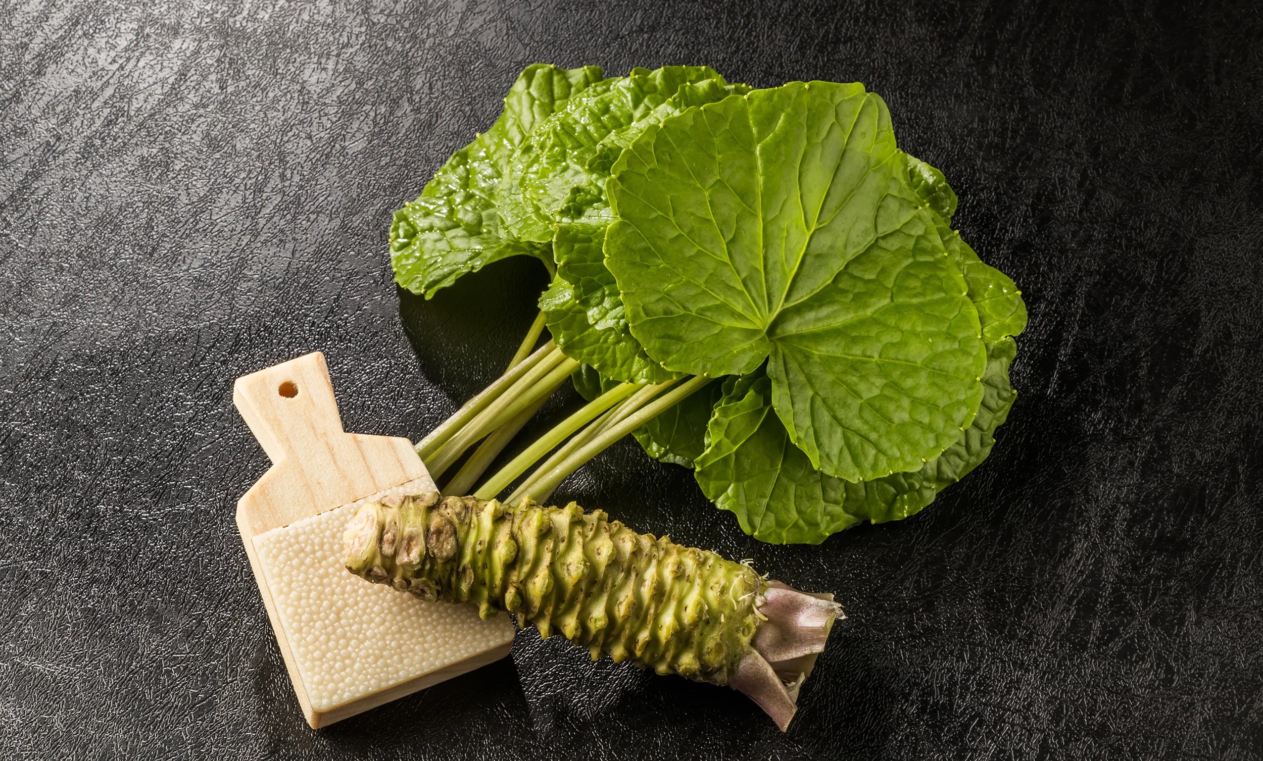 Authentic Wasabi Products | Real Wasabi – Real Wasabi, USA