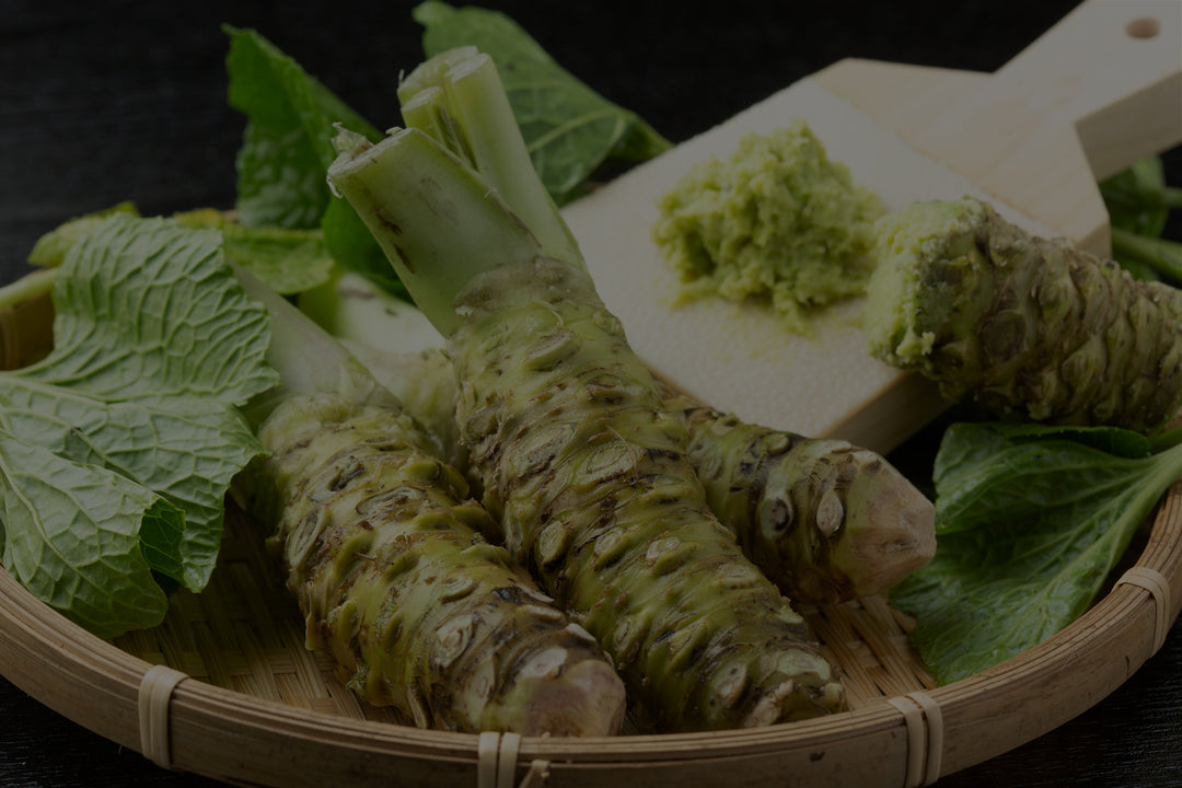 Wasabi Health Benefits: Facts and Insights | Real Wasabi – Real Wasabi, USA