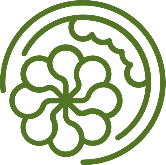 Authentic Wasabi | Japanese Wasabi US | Real Wasabi – Real Wasabi, USA