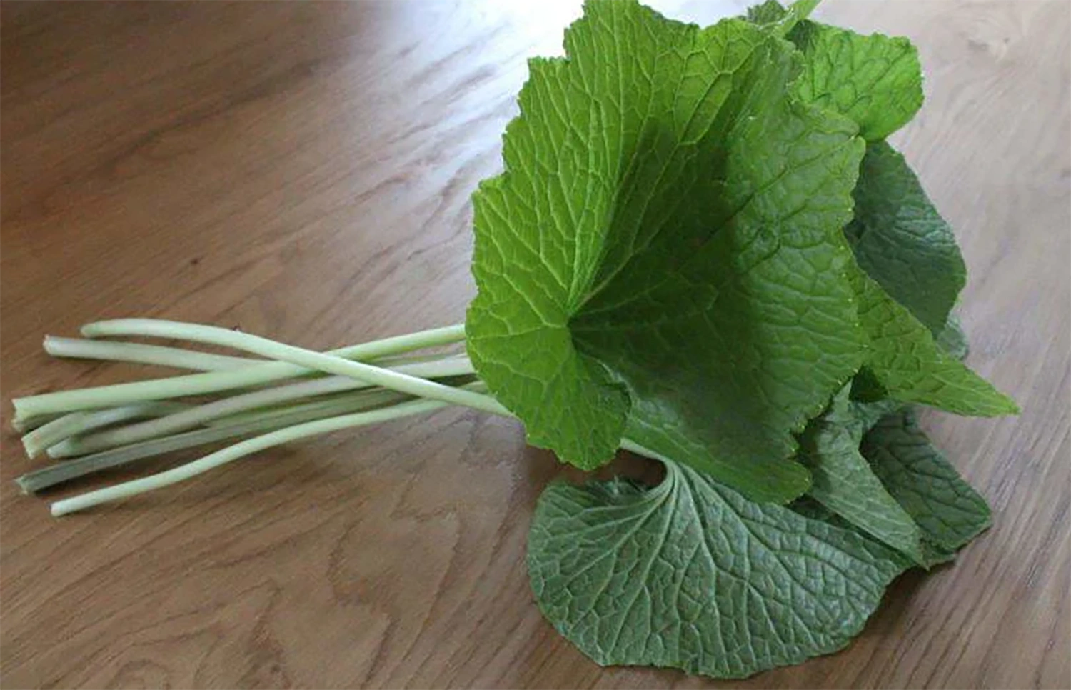 Experience Genuine Fresh Wasabi Real Wasabi