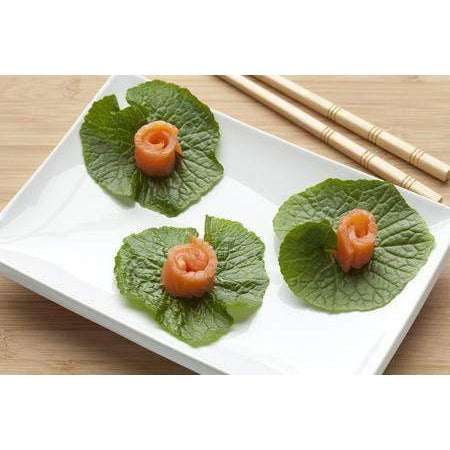 Fresh Wasabi for Sale | Real Wasabi – Real Wasabi, USA